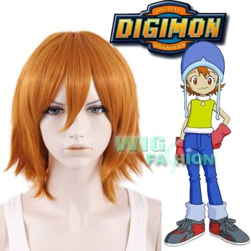 Digital Monster Digimon Sora Takenouchi Short Straight Orange Anime ...