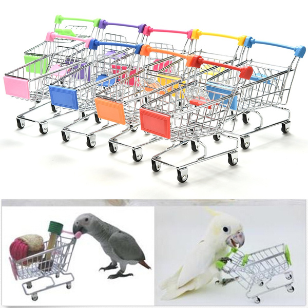 Our favorite Bird Parrot Supermarket Shopping,Bird Parrot Supermarket ...