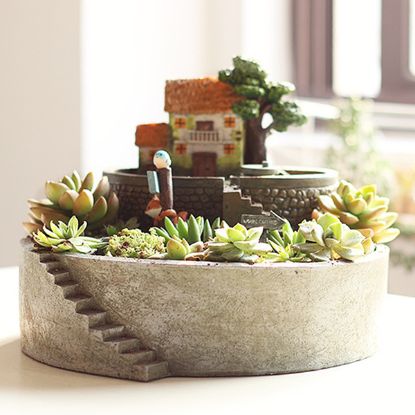 Sky Garden Flower Cacti Sedum Succulent Pot Planter Bonsai Trough Box ...