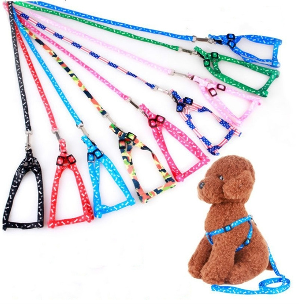 Fashion Colorful Printing Chest Back Printing Cat Rabbit Dog Chain ...