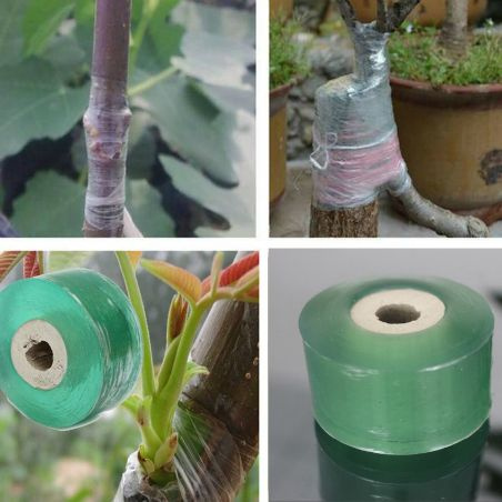 100m Garden Tools Self-adhesive Fruit Tree Secateurs Engraft Branch ...