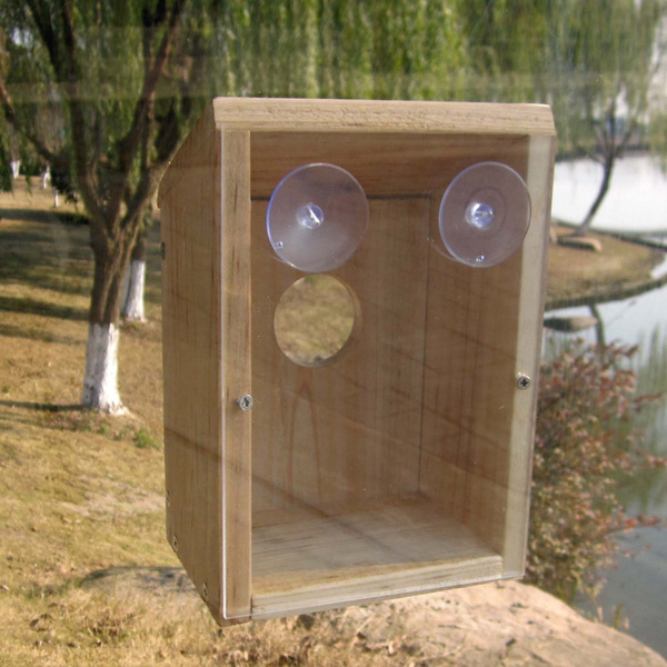 Window Mount Nest View Wild Bird House Research See Baby Birds ...