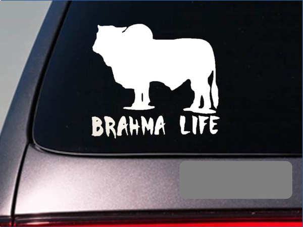 Brahma Life sticker decal cattle brahman texas beef hamburger stock ...