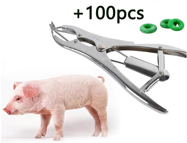 1 Set Pigs Cattle Sheep Stainless Steels Castration Pliers Dilation Forceps Severed Tail Ring ...