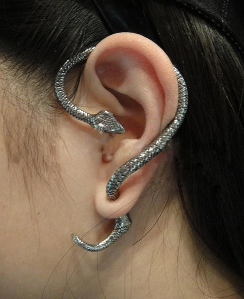 2 PCS Fashion Unisex Punk Rivet Ear Studs Hoop Snake Piercing Earrings ...