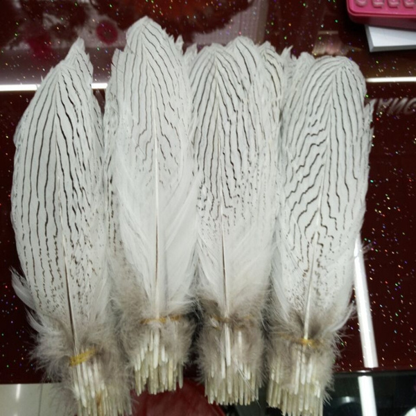 10 pcs rare white silver chicken tail feathers 15-20cm/6-8inch Rare ...