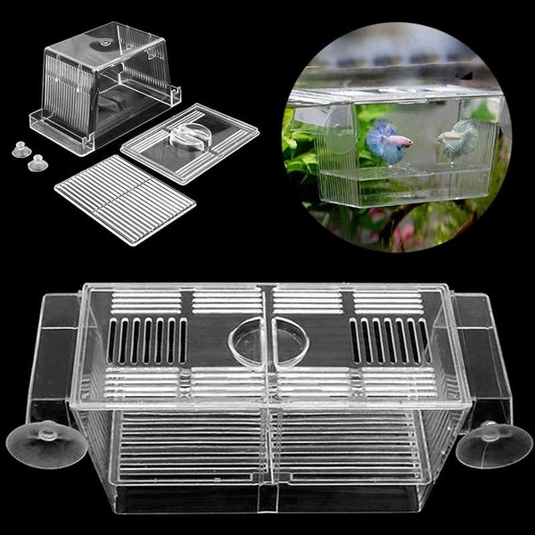 Clear Guppy Fish Breeding Aquarium Box Tank Incubator Hatchery Breeder ...