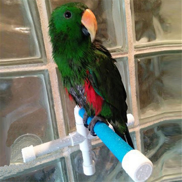 Parrot Standing Shower Perch Parakeet Bird Toy Folding Parrot Bath ...