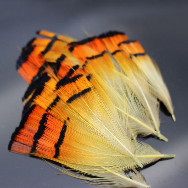 50 pcs assorted Natural Golden Color Pheasant Head Crest Feather Fly ...