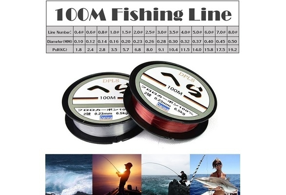 New 1pcs 100M Fluorocarbon Japan Fishing Line 0.1-0.5mm 1.8-23.7kg ...