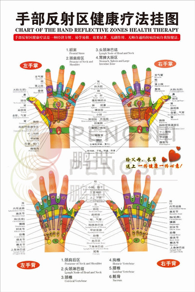 Chart Of The Hand Reflective Zones Health Therapy Acupuncture points | Wish
