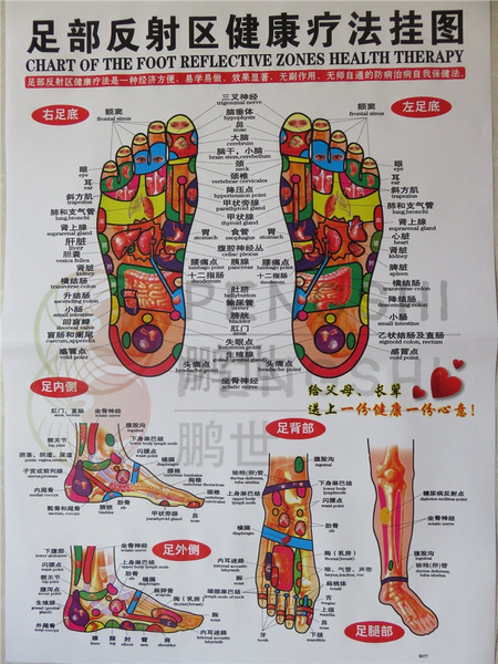 Chart Of The Foot Reflective Zones Health Therapy Acupuncture points | Wish
