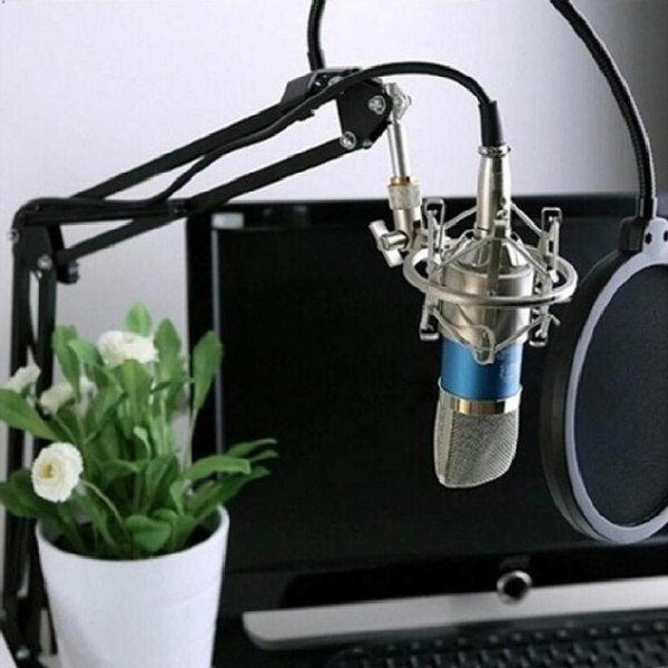 Professional Studio Microphone Sound Recording Condenser Microphone KTV ...