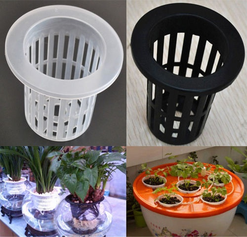 50pcs 1.75 inch Mesh Pot Net Basket Clone Cloning Planting Basket For ...