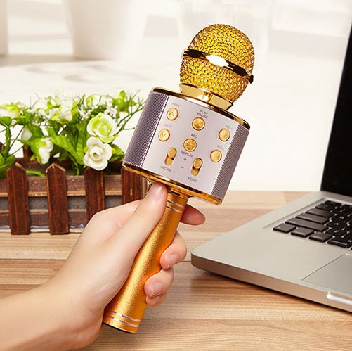 Portable Handheld Wireless Bluetooth Microphone Karaoke Speaker Home ... Portable Handheld Wireless Bluetooth Microphone Karaoke Speaker Home ...