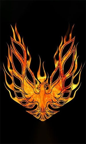 Pontiac Firebird Trans AM Flag-Pontiac Flags-Firebird Flag-Trans AM ...