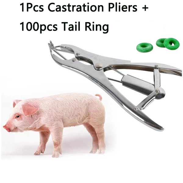 Pigs Cattle Sheep Stainless Steels Castration Pliers Dilation Forceps Severed Tail Ring Pliers ...