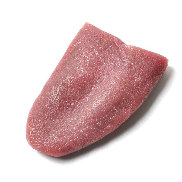 Tongue Trick, Magic Horrible Tongue Fake Tounge Realistic Elasticity | Wish