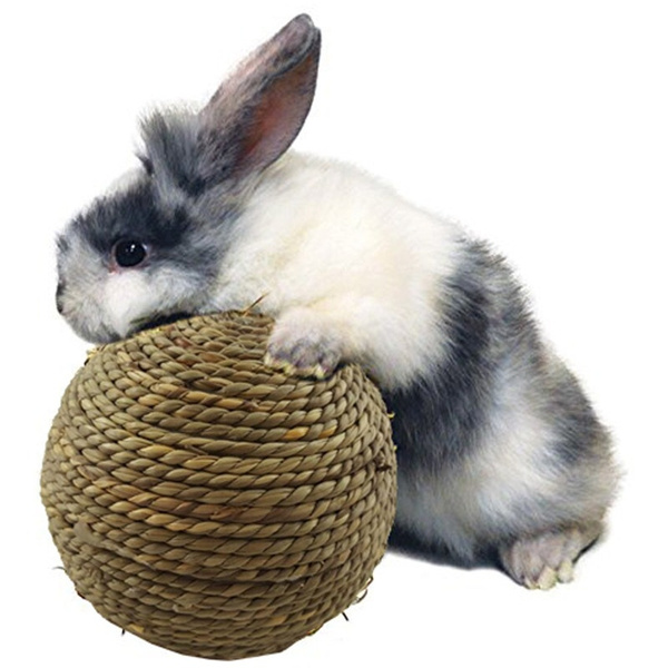 Parrot Gnawing Toy Rattan Ball Straw Ball Rabbit Rabbit Foot Toys | Wish