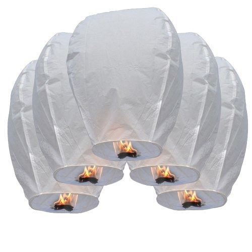 10 Pcs Chinese Sky Fly Fire Paper Lanterns Wish Balloon Wishing Lamp ...