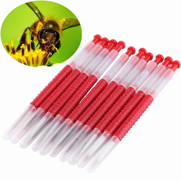 10pcs Plastic Beekeeping Tools Queen Rearing Bee Larvae Grafting Tools ...