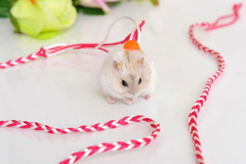 2M Pet Hamster Cage Leash Adjustable Pet Rat Mouse Harness Rope Leash ...
