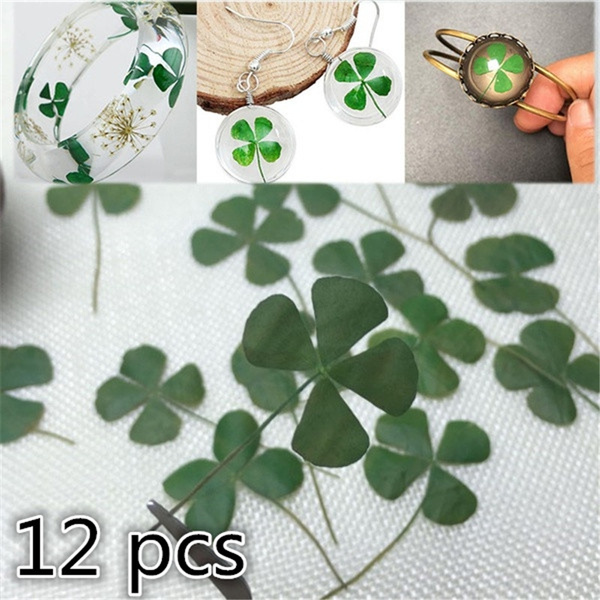 12 PCs/set Four Leaf Clover Dried Flower DIY Handmade | Wish