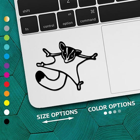 sugar glider, sugar glider decal, glider, sugar glider sticker, glider ...