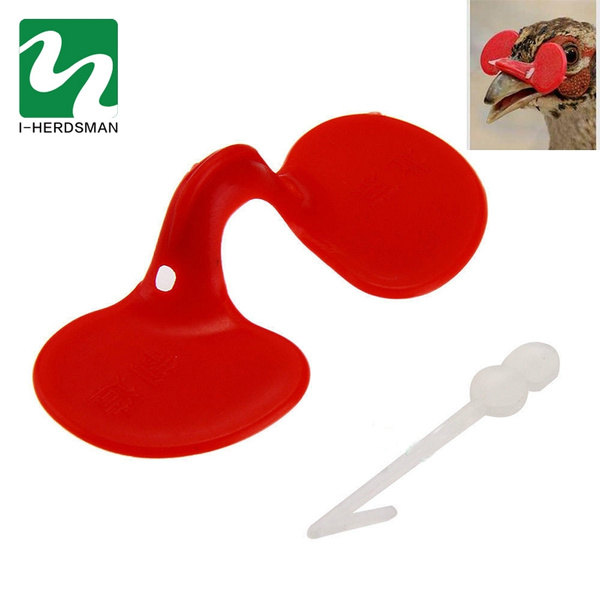 50pcs Chicken Glasses With Bolt Anti-pecking Protection Prevent ...