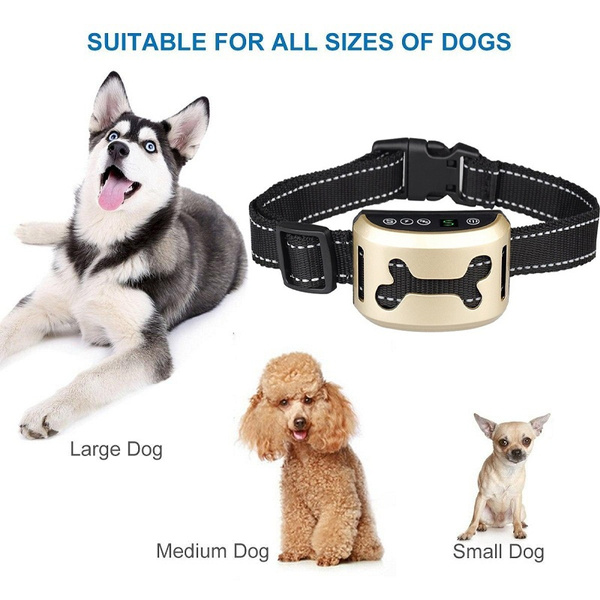 Are Dog Bark Collars Humane