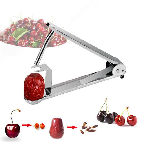 Stainless Steel Cherry Olive Pitter Fruits Core Stoner Corer Enucleated ...