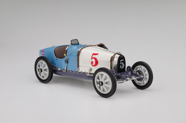 Bugatti T35 #5 National Colour Project Grand Prix Argentina Ltd Ed 300 ...