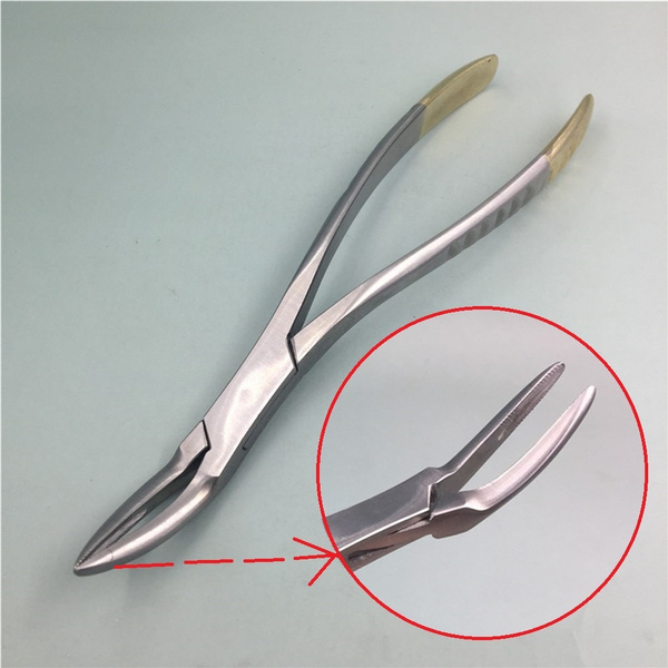 Dental Root Fragment Minimally Invasive Maxillary Tooth Extraction ...