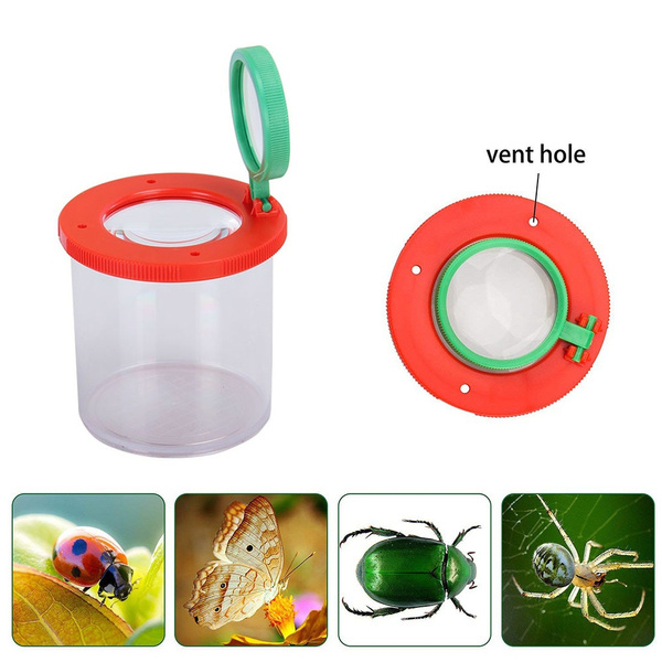 Portable Cylinder-shaped Insect Observation Magnifier Viewer Kids ...
