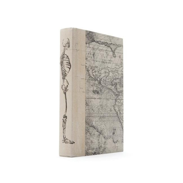 Go Home MMO101LF 12 x 12 x 6 in. Linear Foot of Skeleton Books | Wish