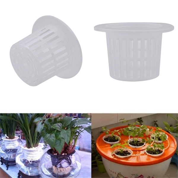 5pcs/set Hydroponics Vegetables Planting Cup No Soil Cultivation Root ...