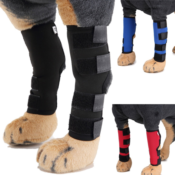 1 Pair Dog Canine Rear Leg Dog Leg Joint Surgery Injury Wound Protector ...