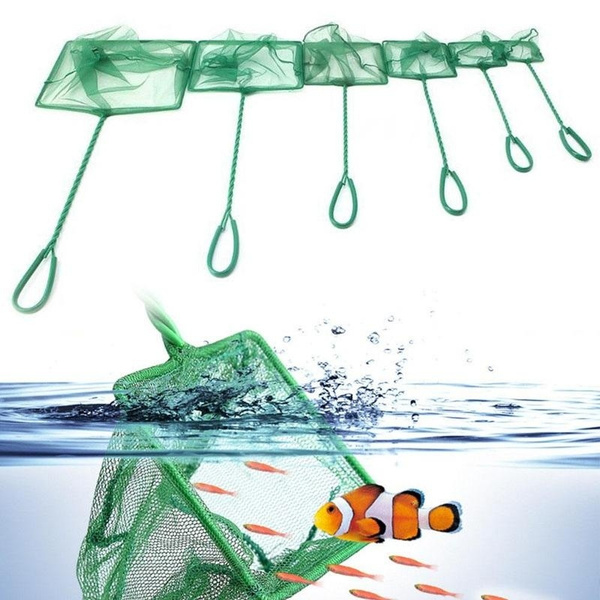 6 Sizes Aquarium Fish Tank Square Mesh Shrimp Small Betta Tetra Fish ...