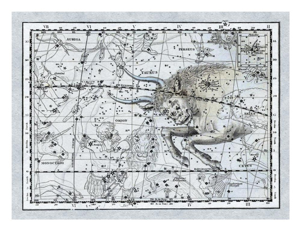 Maps of the Heavens: Taurus the Bull-Paper Art-26"x20" | Wish