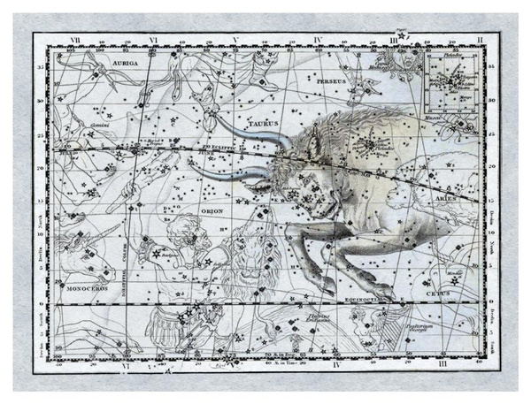 Maps of the Heavens: Taurus the Bull-Paper Art-42"x32" | Wish