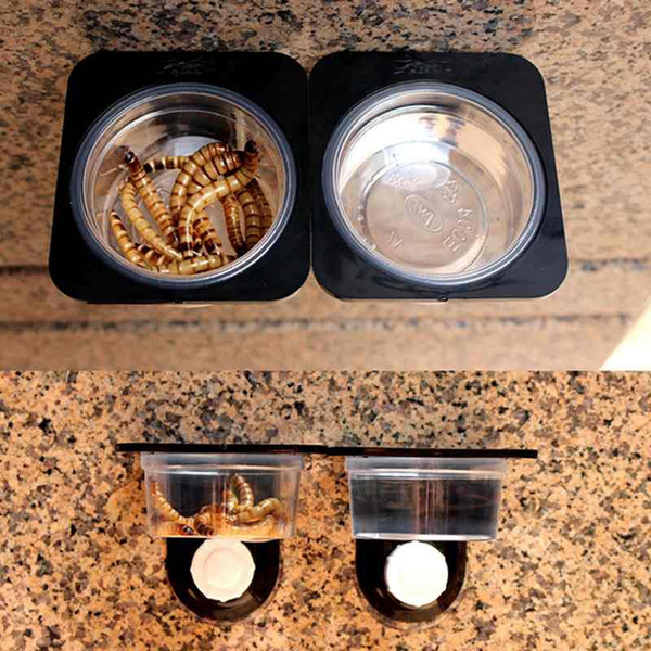 1/2 Grids Reptiles Food Water Feeding Bowl Insects Spider Breeding Tank ...