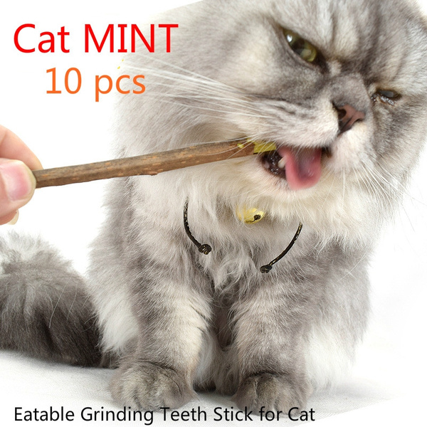 10 Pieces Cat Tooth Stick Natural Pet Snack Cat Chew Stick Treat Toy ...