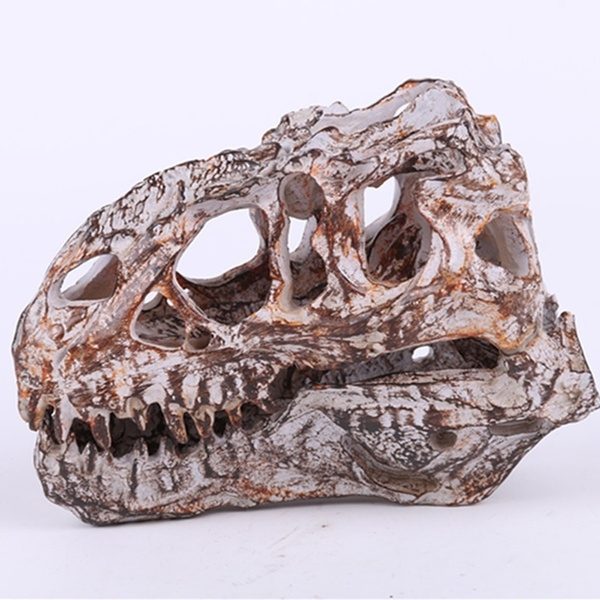 1/12 Tyrannosaurus SCALE RESIN DINOSAUR SKULL MODEL COLLECTIBLE HOME | Wish