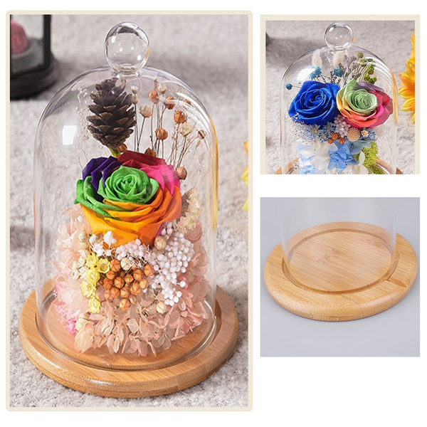 Small Or Large Domed Glass Cover Glass Bottle Display DIY Cloche Bell ...