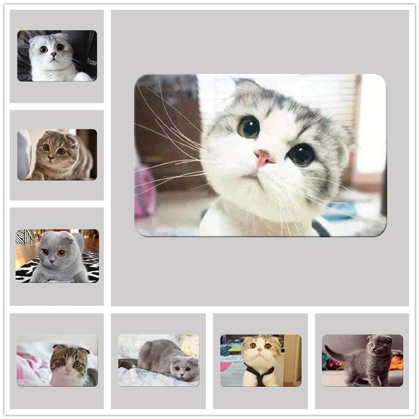 Scottish Fold Cat Pattern Welcome Door Mat Indoor Outdoor Rubber Mat No ...