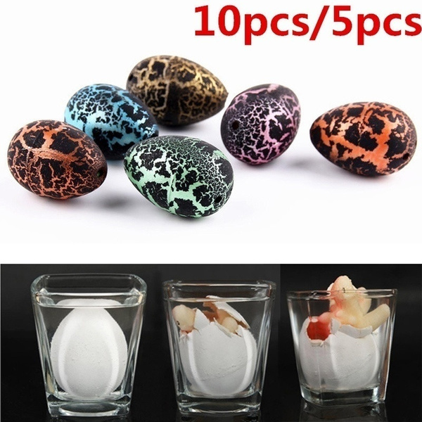 10pcs/5pcs/lot Magic Water Growing Egg Hatching Colorful Dinosaur Add ...