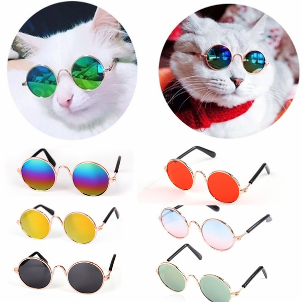 Fashion Cat Eye-wear Pet Sunglasses Little Dog Cat Pet Glasses Photos ...