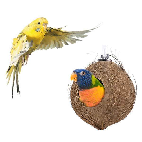 Coconut Parrot Nest Bird House Hut Cage Hamster Squirrels Nesting Box ...