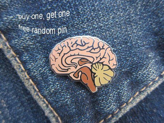 Brain Enamel Lapel Pin Brain, Stroke, Medical and Anatomy, Neurology ...