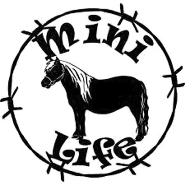 Car Styling Excellent Mini Life Miniature Horse Car Truck Trailer Vinyl ...